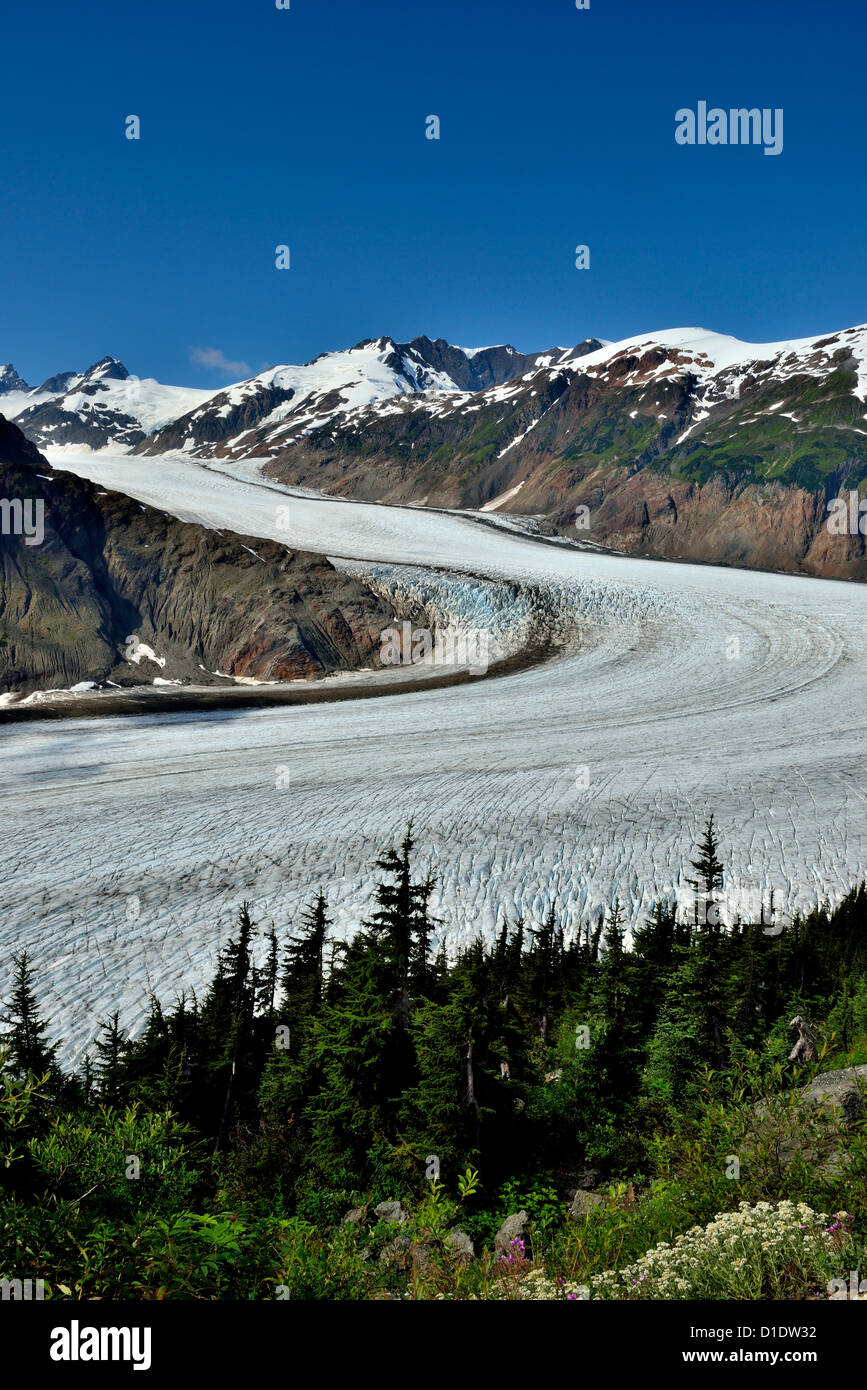 Canada trees mountains scenic hi-res stock photography and images - Alamy