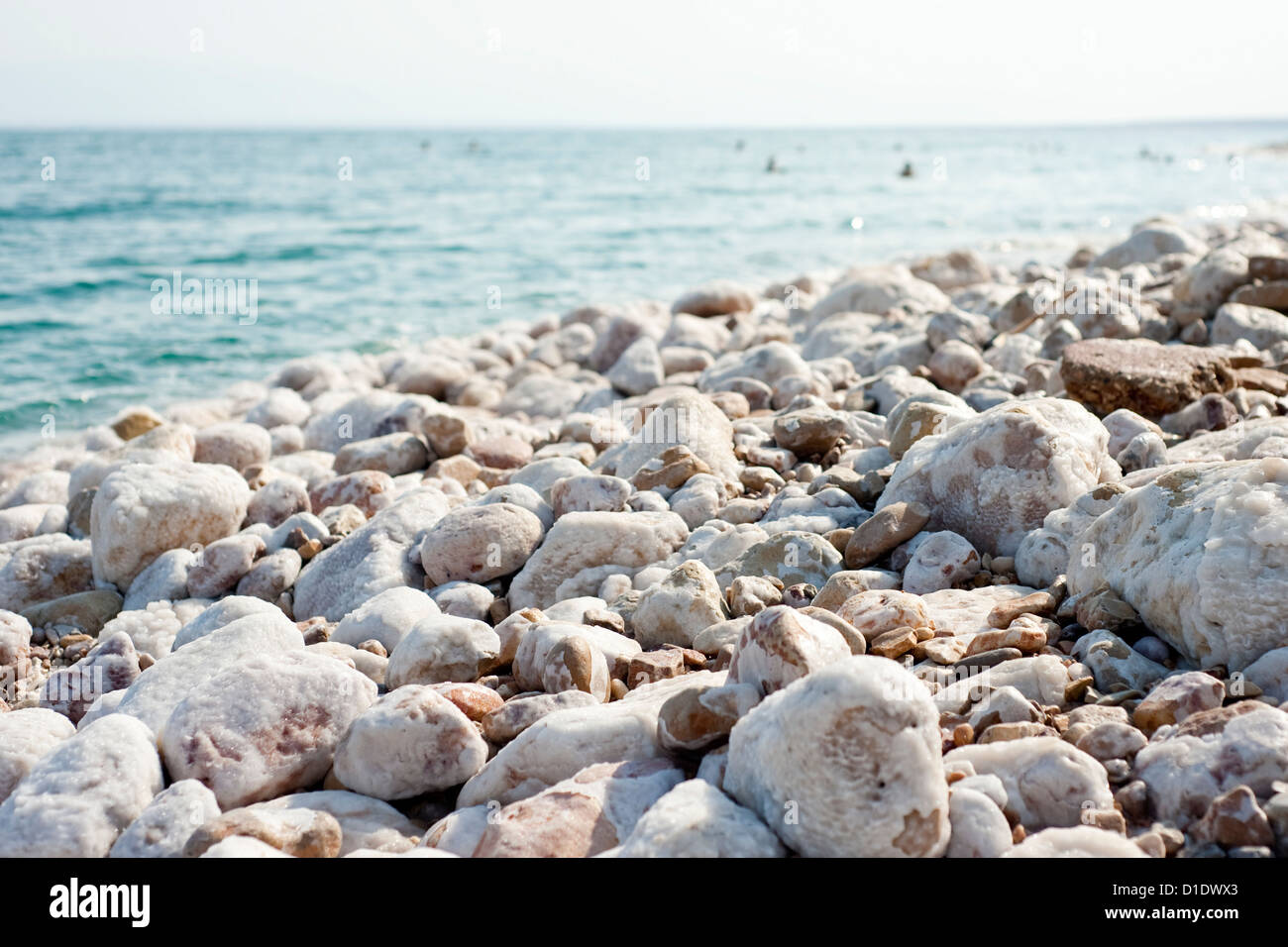 Jordan dead sea salt rocks hi-res stock photography and images - Alamy
