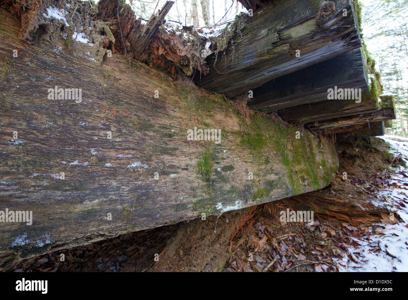 Decaying bridge hi-res stock photography and images - Alamy