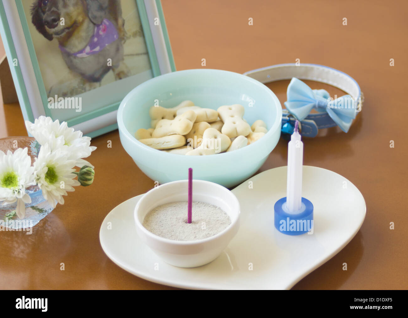 Pet funeral image Stock Photo - Alamy