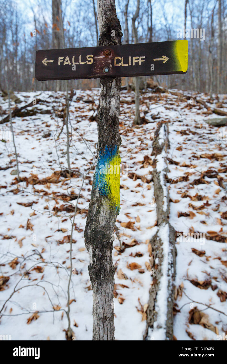 Trail Blaze along the Frankenstein Cliff Trail in the White Mountains ...