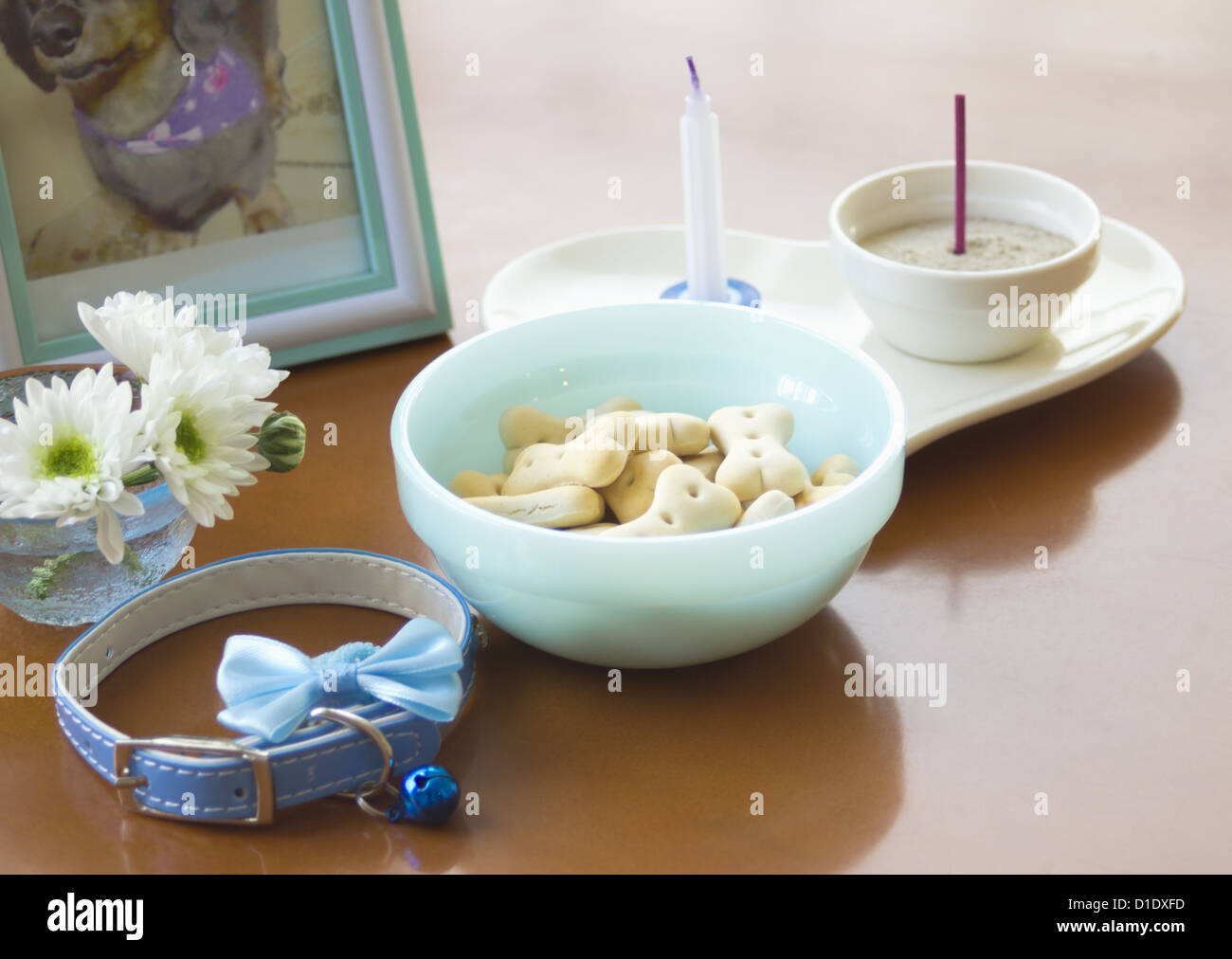 Pet funeral image Stock Photo - Alamy