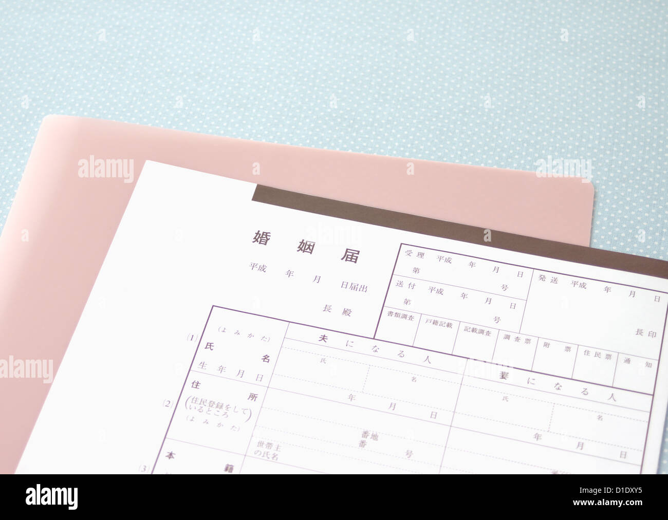 Clear file folder and a marriage form Stock Photo - Alamy