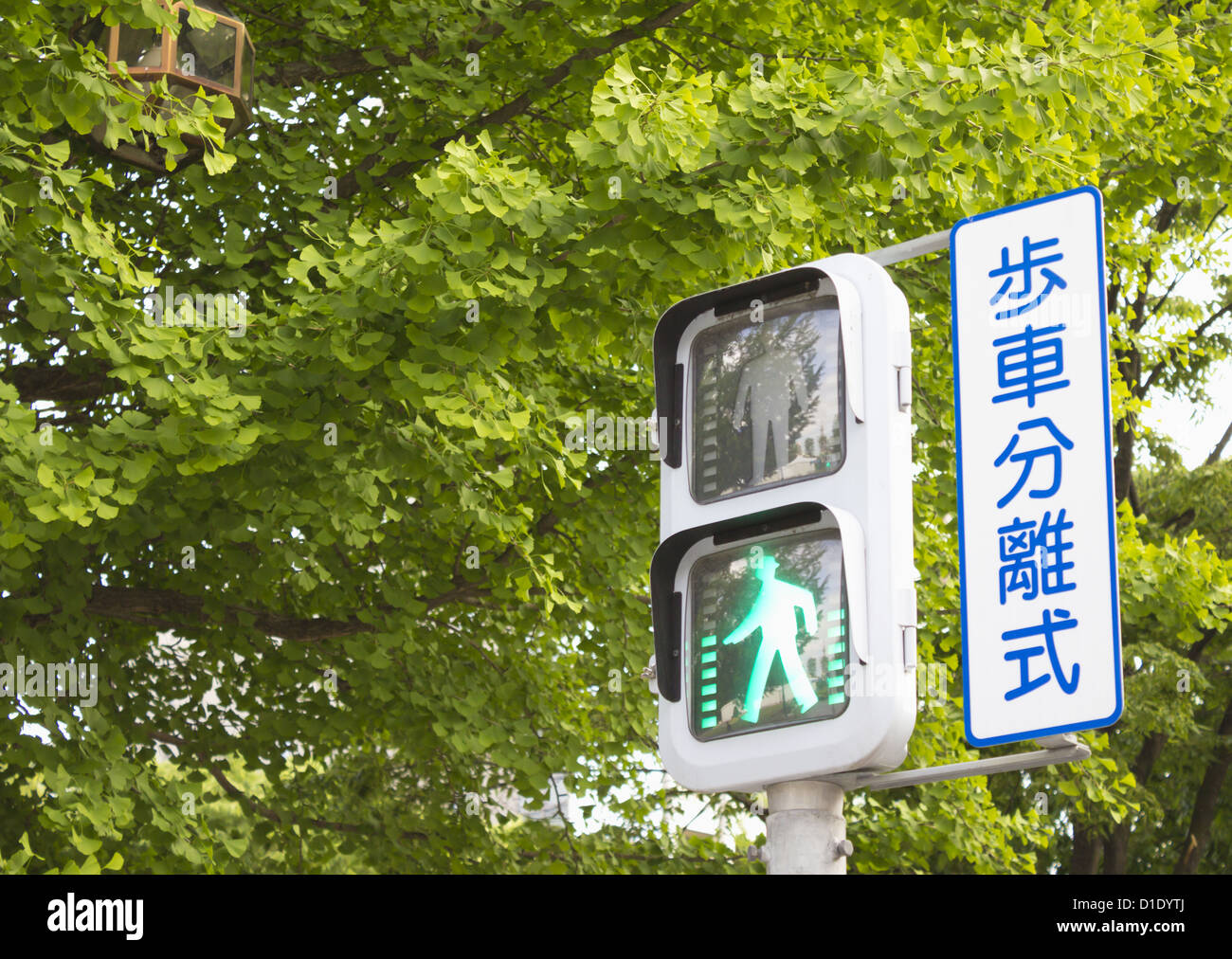 Pedestrian crossing light Stock Photo - Alamy
