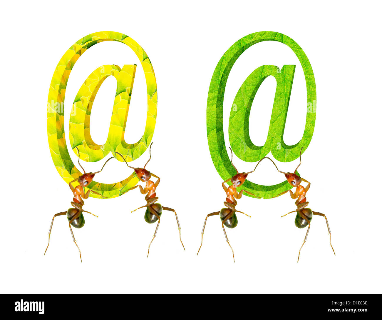 The ants and network symbol Stock Photo - Alamy