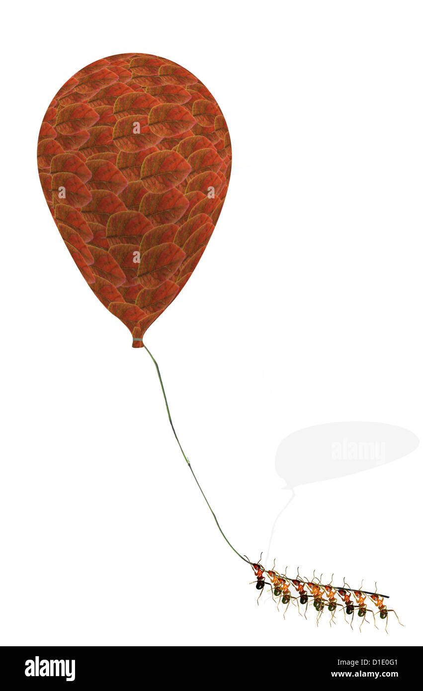 The ant drag the balloon Stock Photo - Alamy