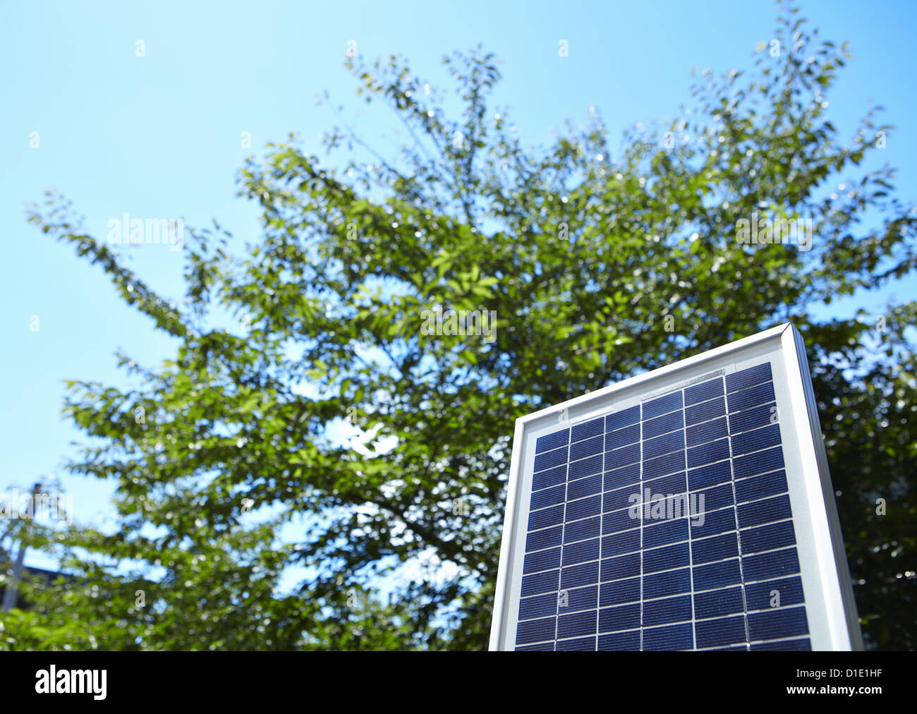 Trees and a solar panel Stock Photo - Alamy