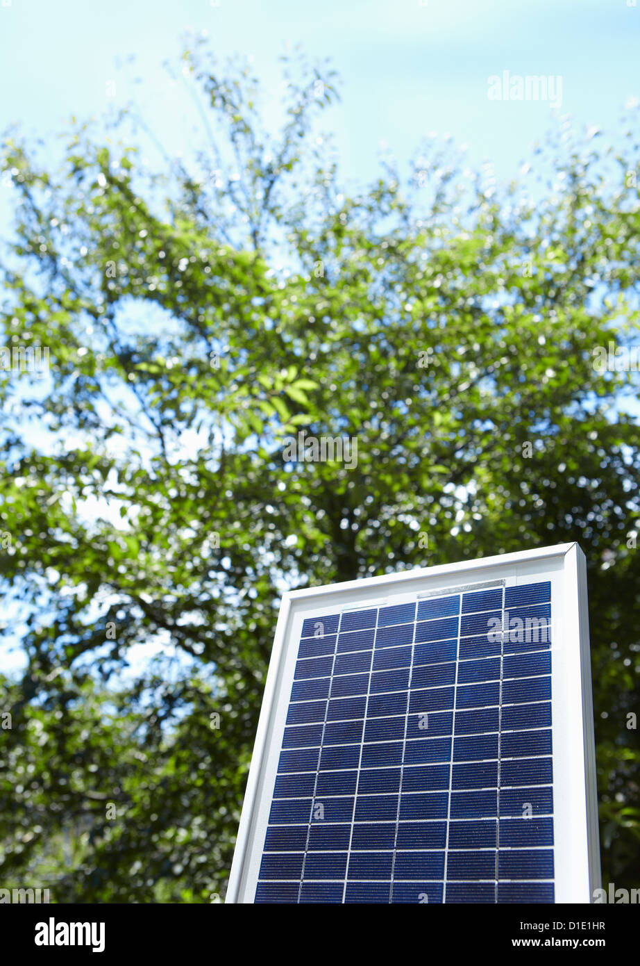 Trees and a solar panel Stock Photo - Alamy