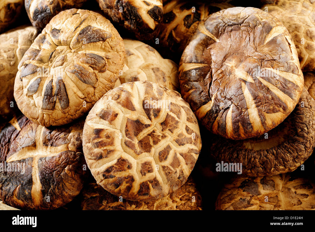 Dried shiitake hi-res stock photography and images - Alamy