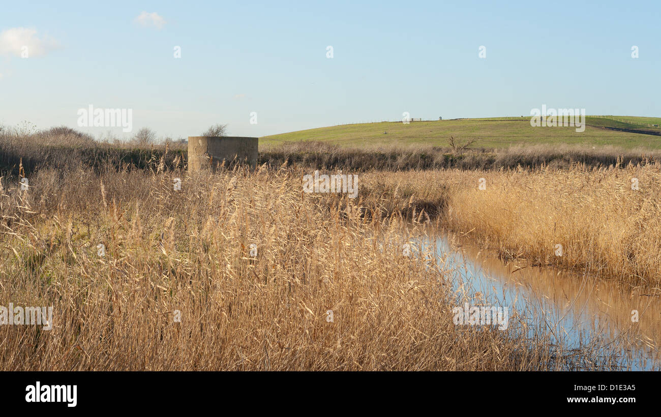landfill reclaimed land Stock Photo - Alamy
