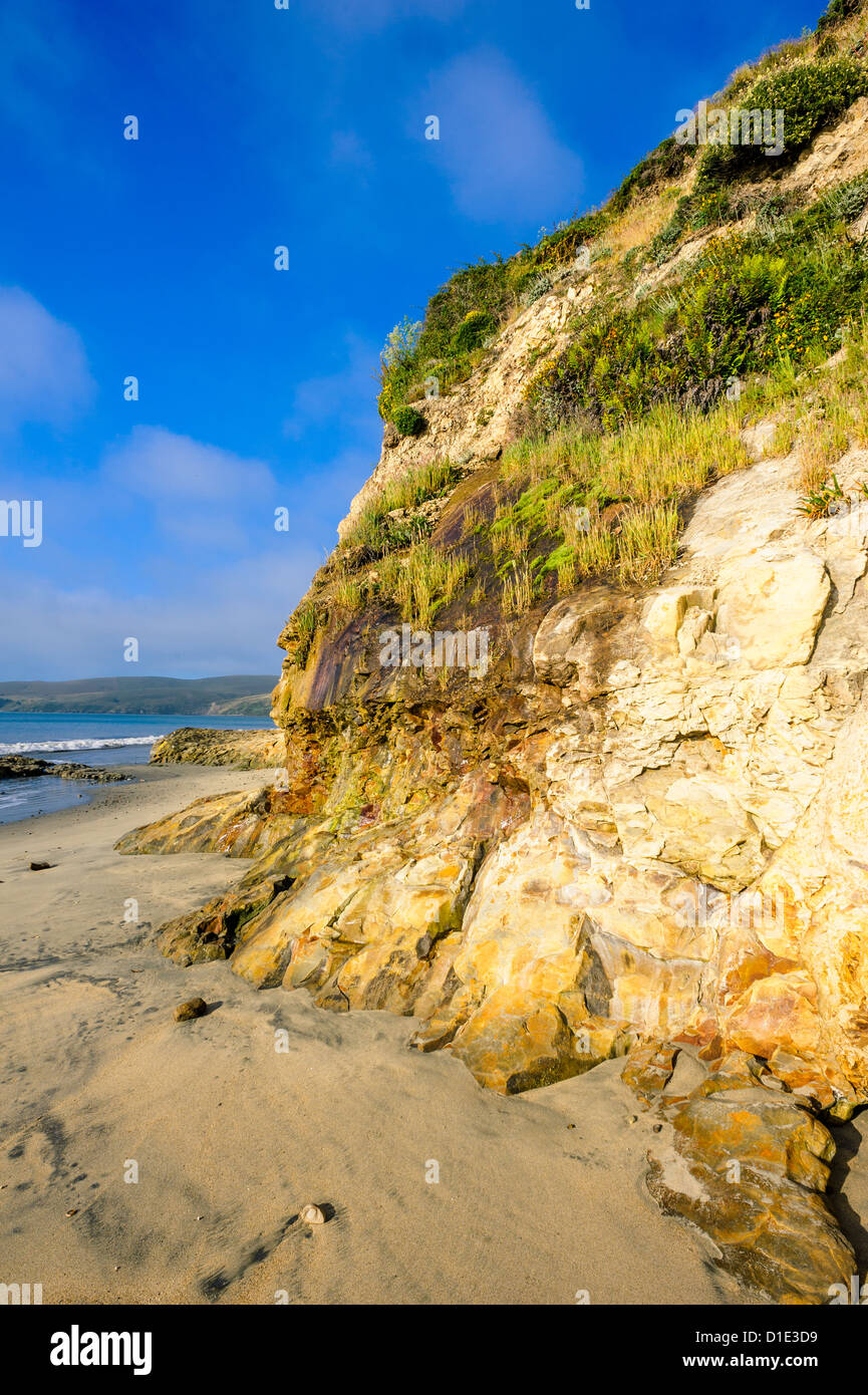 Wild shore in California on a sunny summer day and blue sky Stock Photo ...