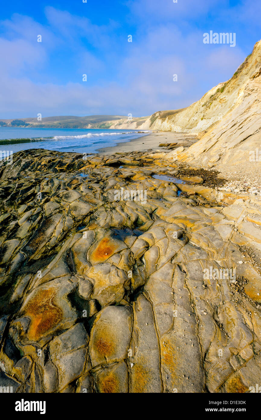 Wild shore in California on a sunny summer day and blue sky Stock Photo ...