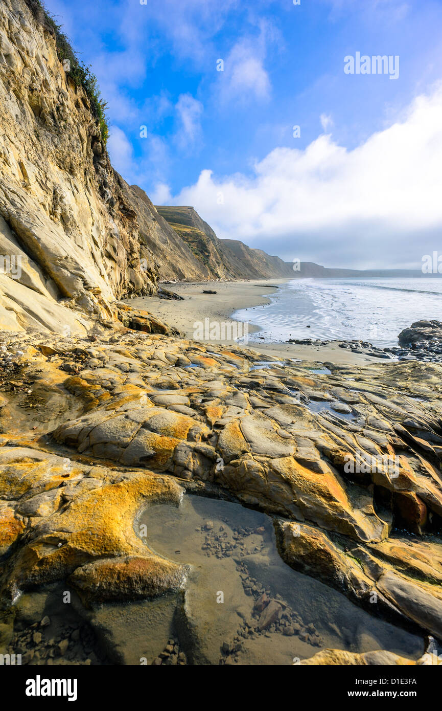 Wild shore in California on a sunny summer day and blue sky Stock Photo ...