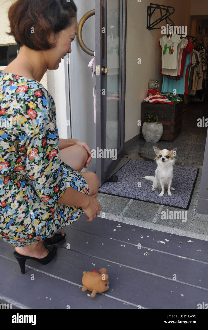 Naha (Okinawa, Japan), a shop owner and her little dog Stock Photo - Alamy