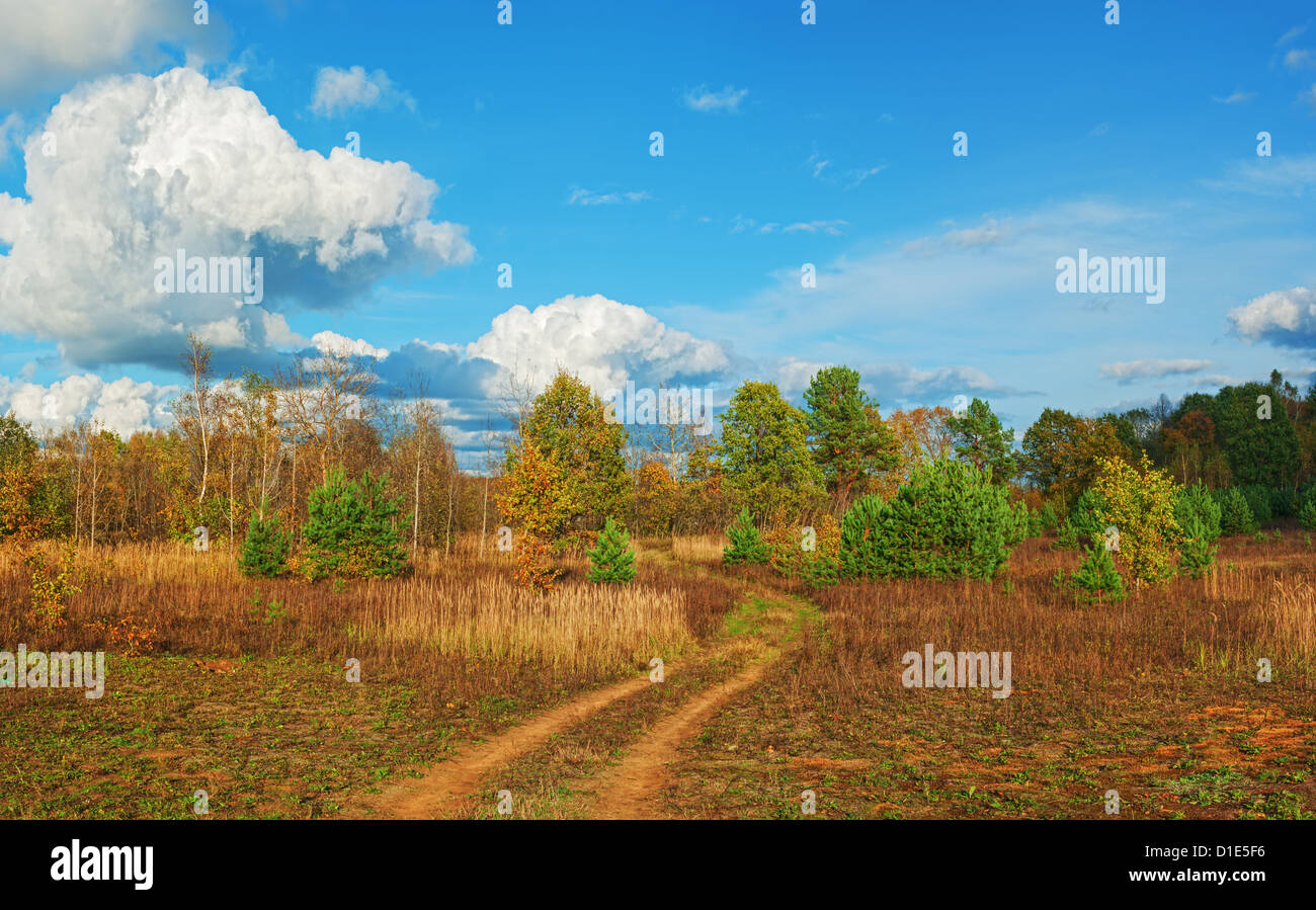 The autumn road through a dry meadow Stock Photo - Alamy