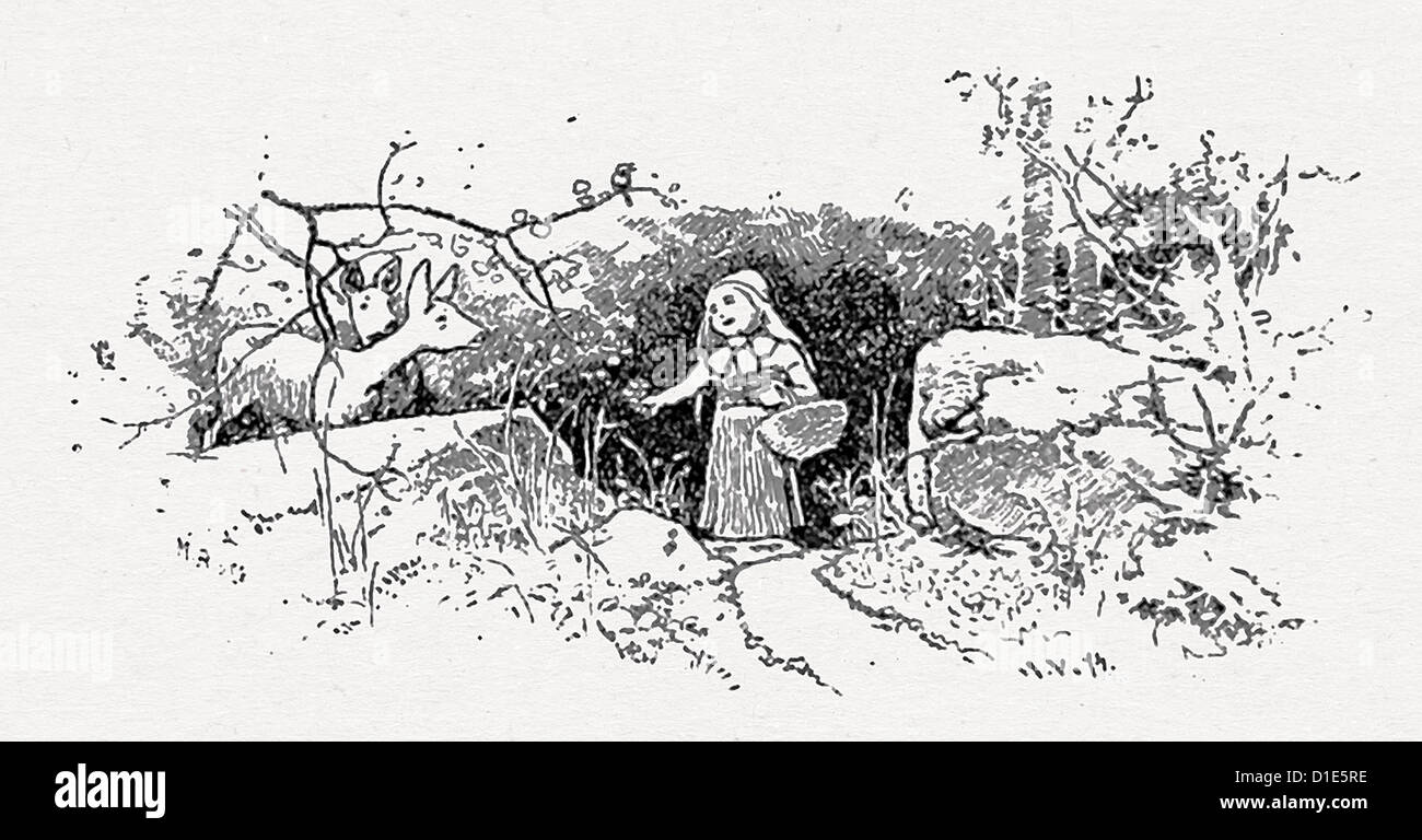 Story little red riding hood hi-res stock photography and images - Alamy