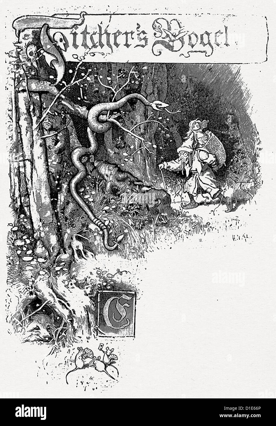 Bird characteristics hi-res stock photography and images - Alamy