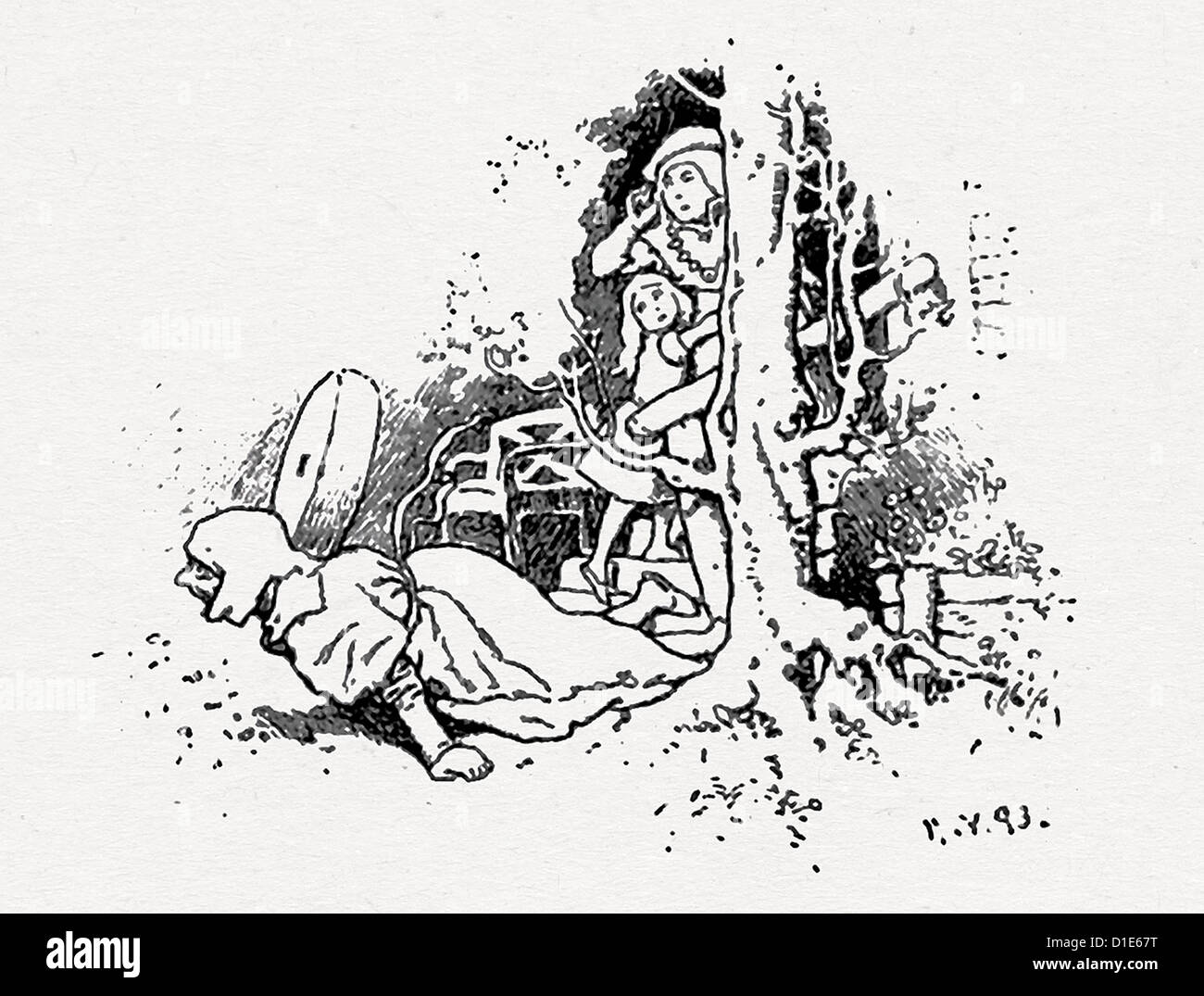 Old illustration juniper tree hi-res stock photography and images - Alamy