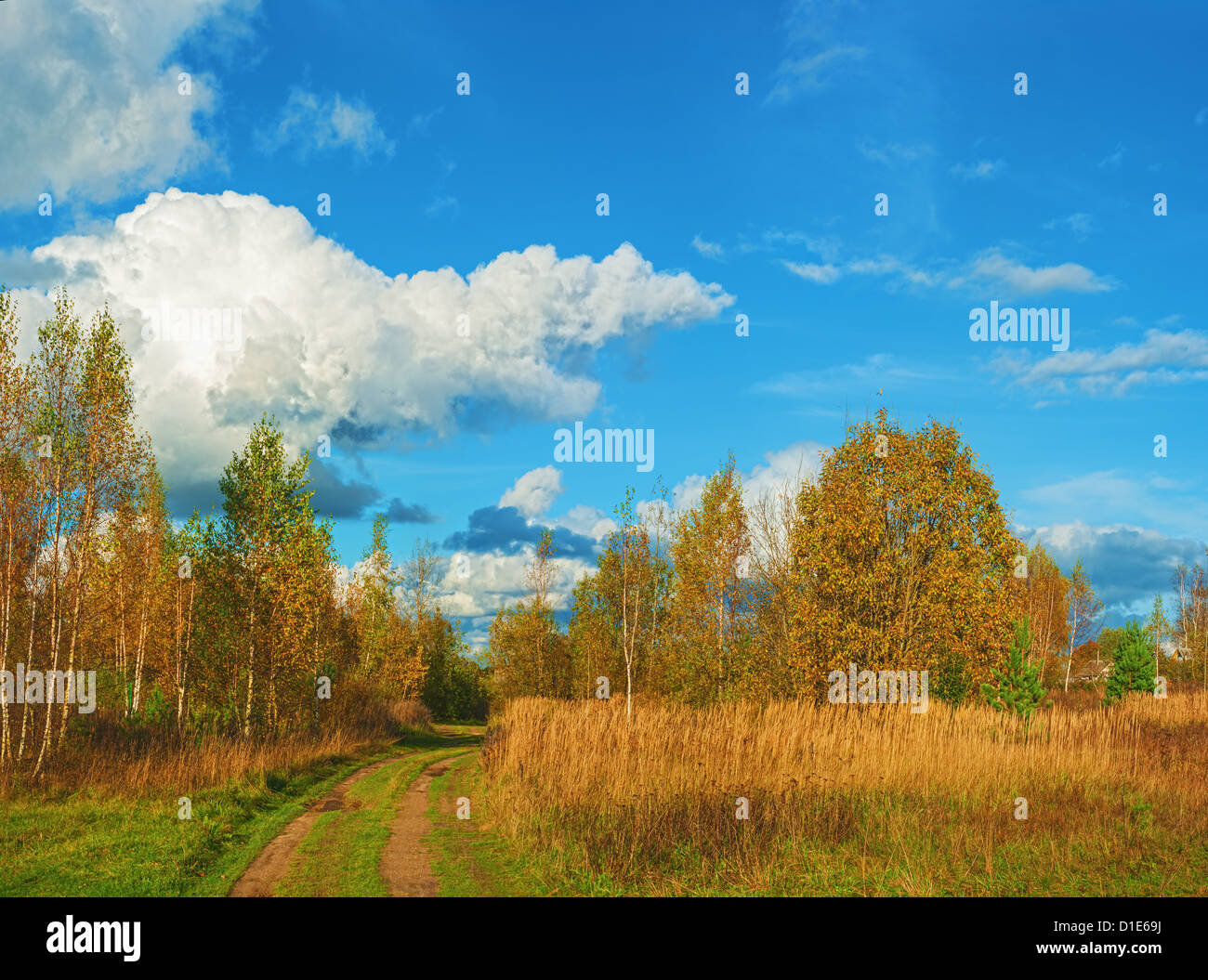 The autumn village road through a dry meadow Stock Photo - Alamy