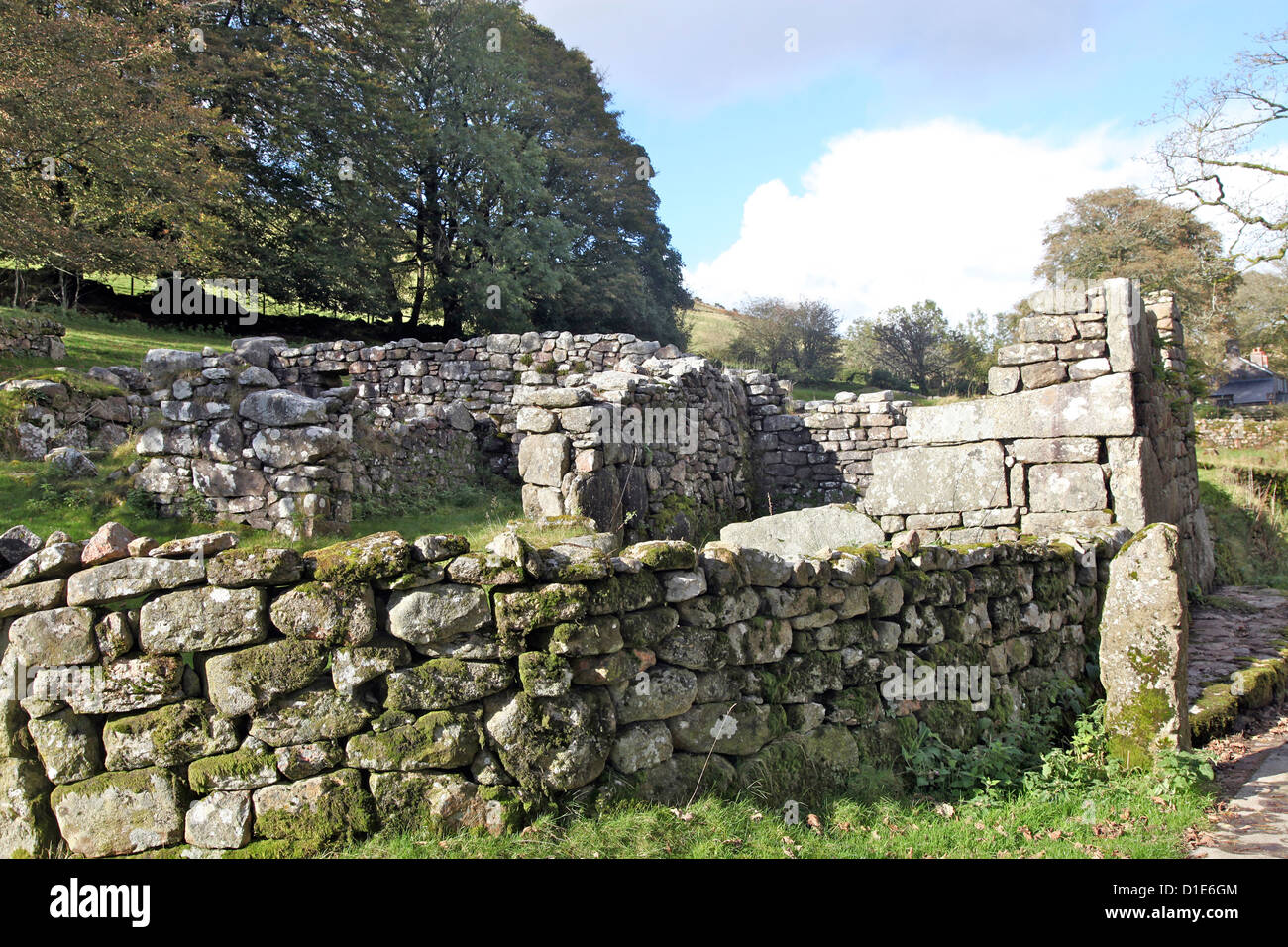 Ruined walls of a former medieval village at Challacombe, Dartmoor ...