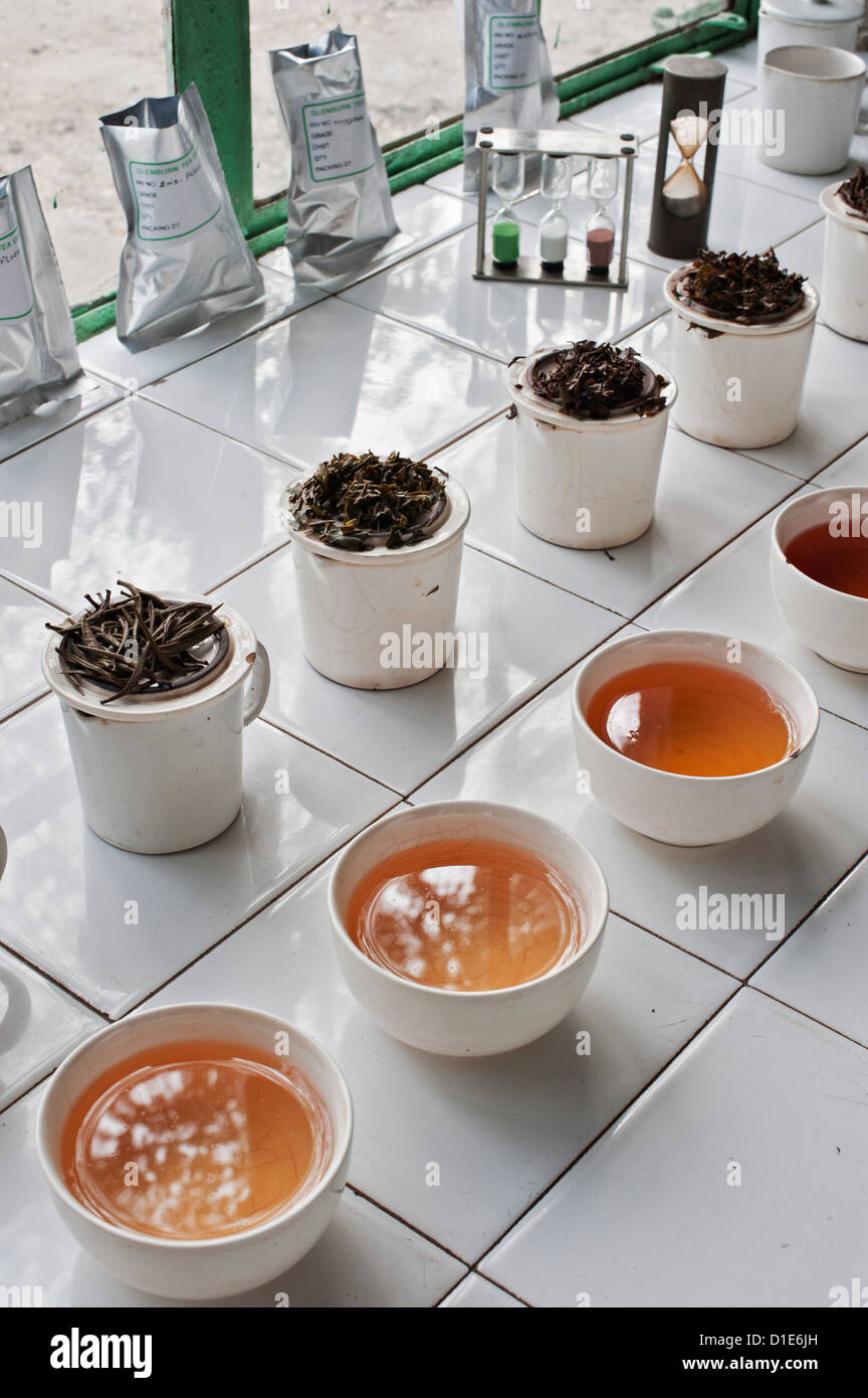 Tea tasting hi-res stock photography and images - Alamy