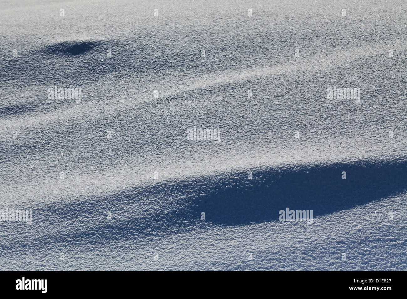 texture with light morning snow Stock Photo - Alamy