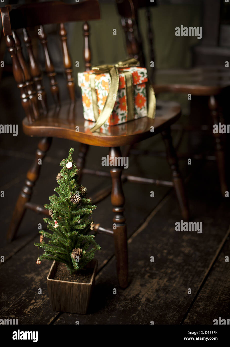 Christmas indoor orange tree hi-res stock photography and images - Alamy