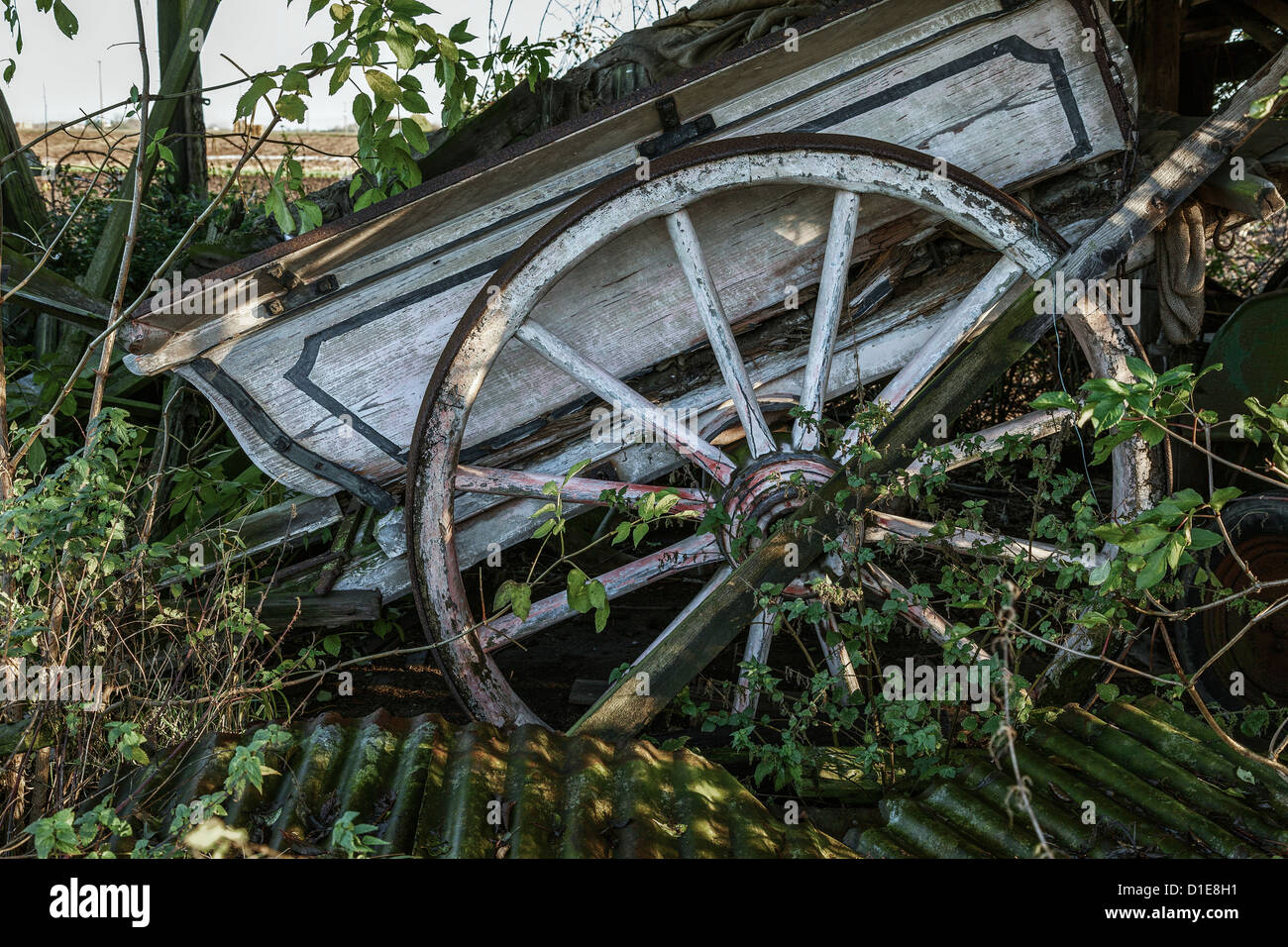 Old rotten cart hi-res stock photography and images - Alamy