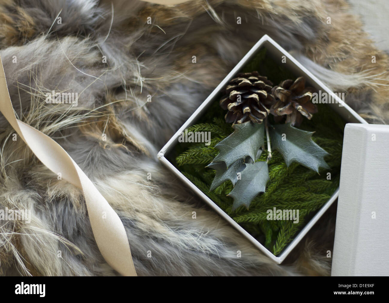 Fur and a box with pinecones Stock Photo - Alamy