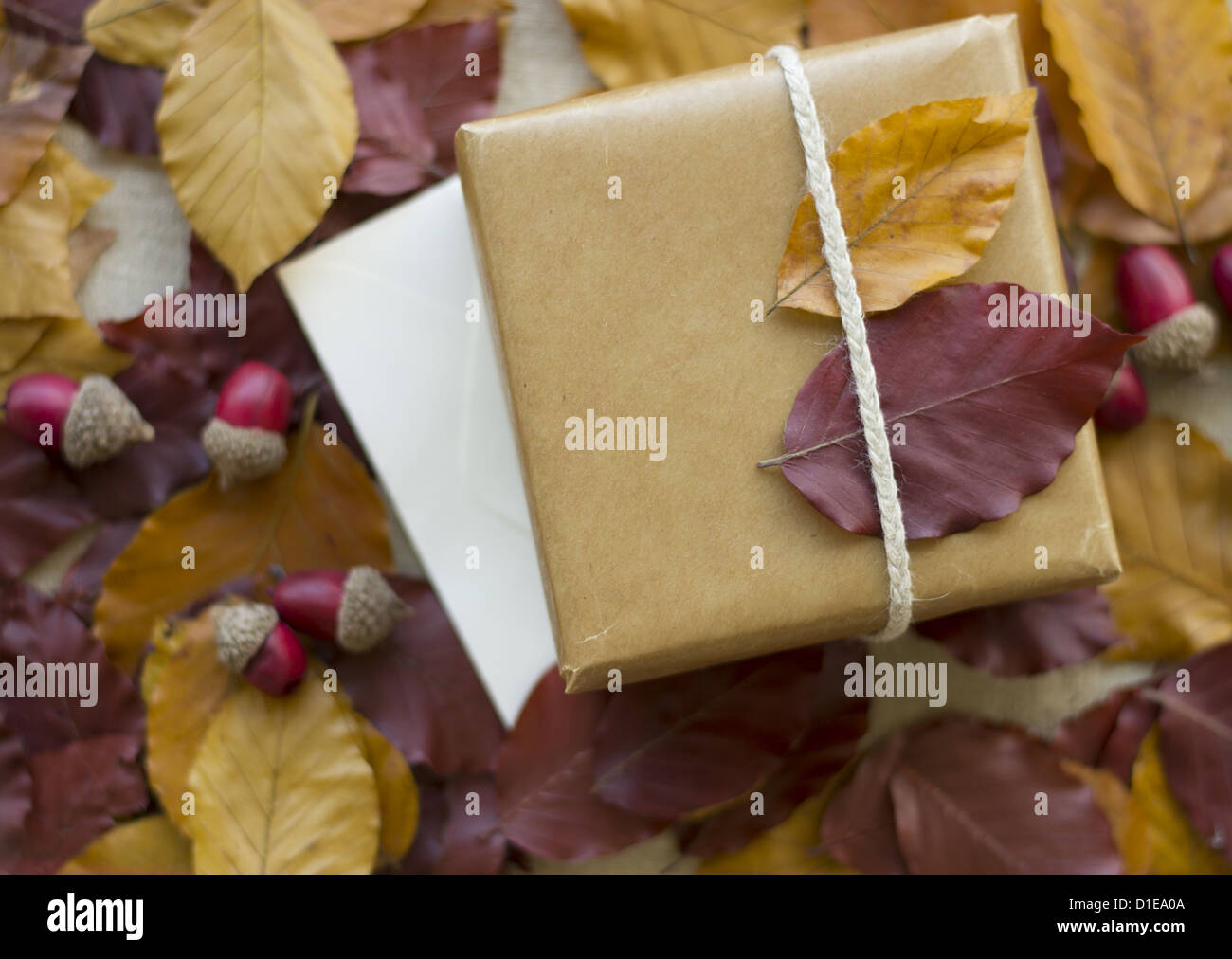 Fallen leaves and a gift box Stock Photo - Alamy