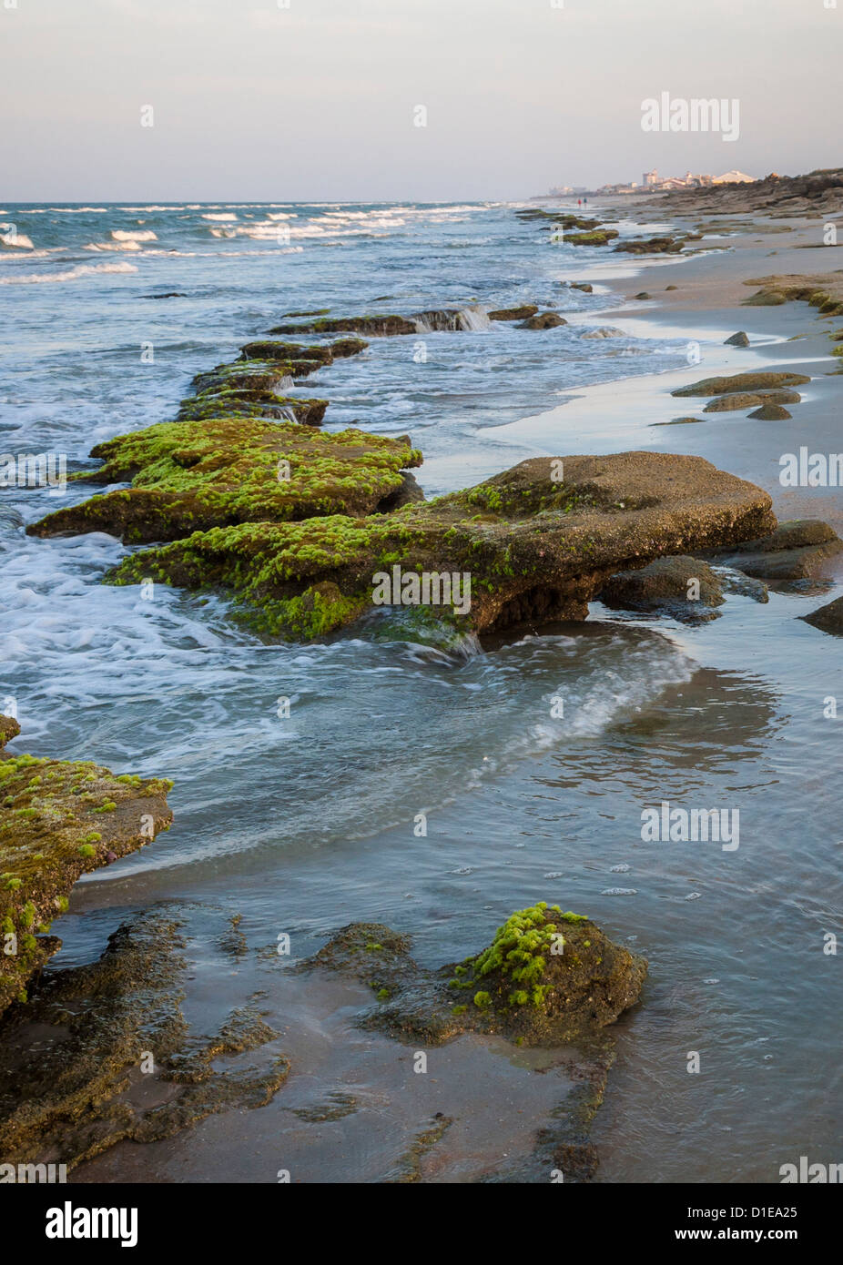 Coquina rock formations along coast of Atlantic Ocean at Washington ...