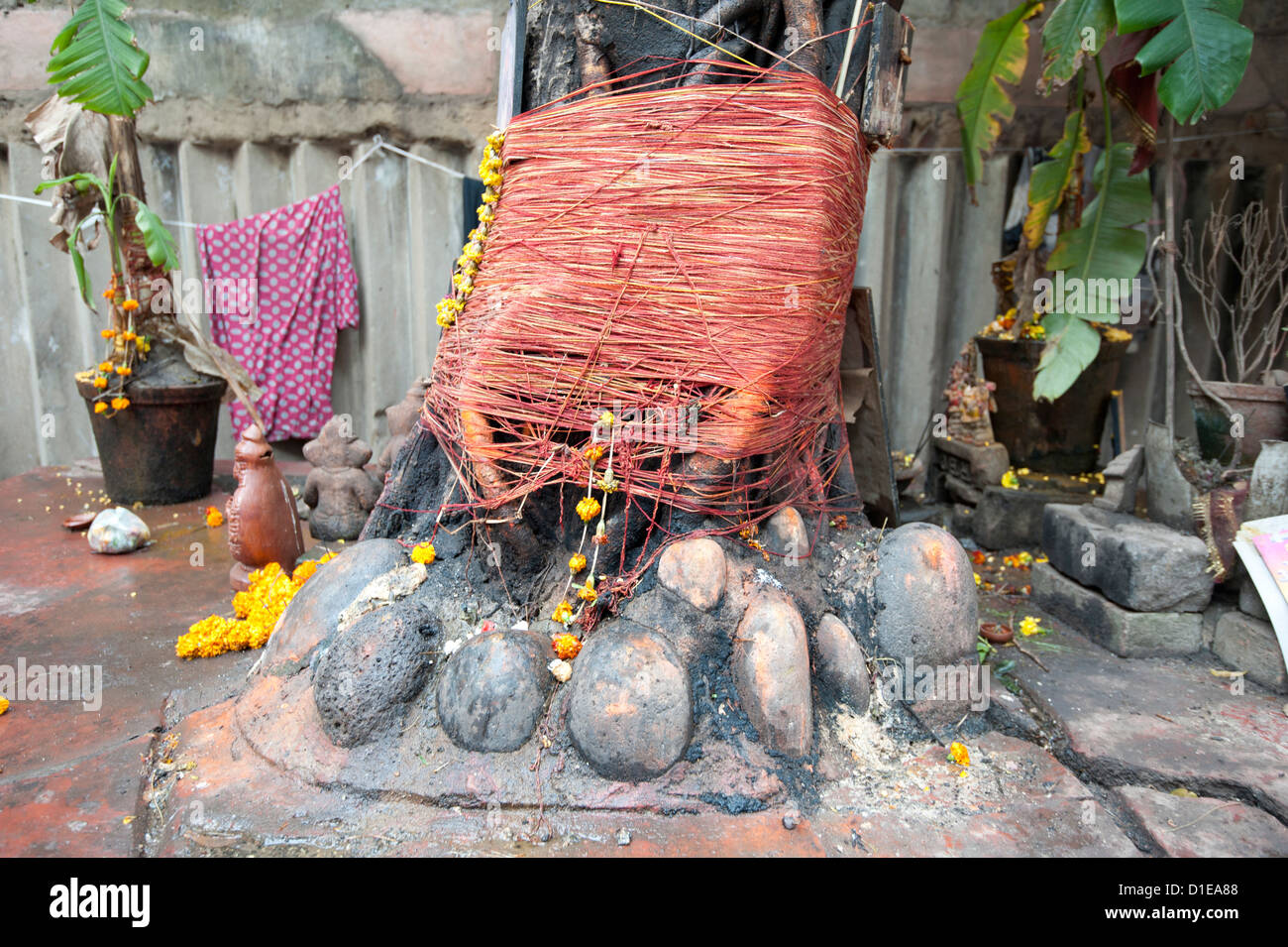 Hindu shrine around tree, decorated with marigold garlands and sacred ...