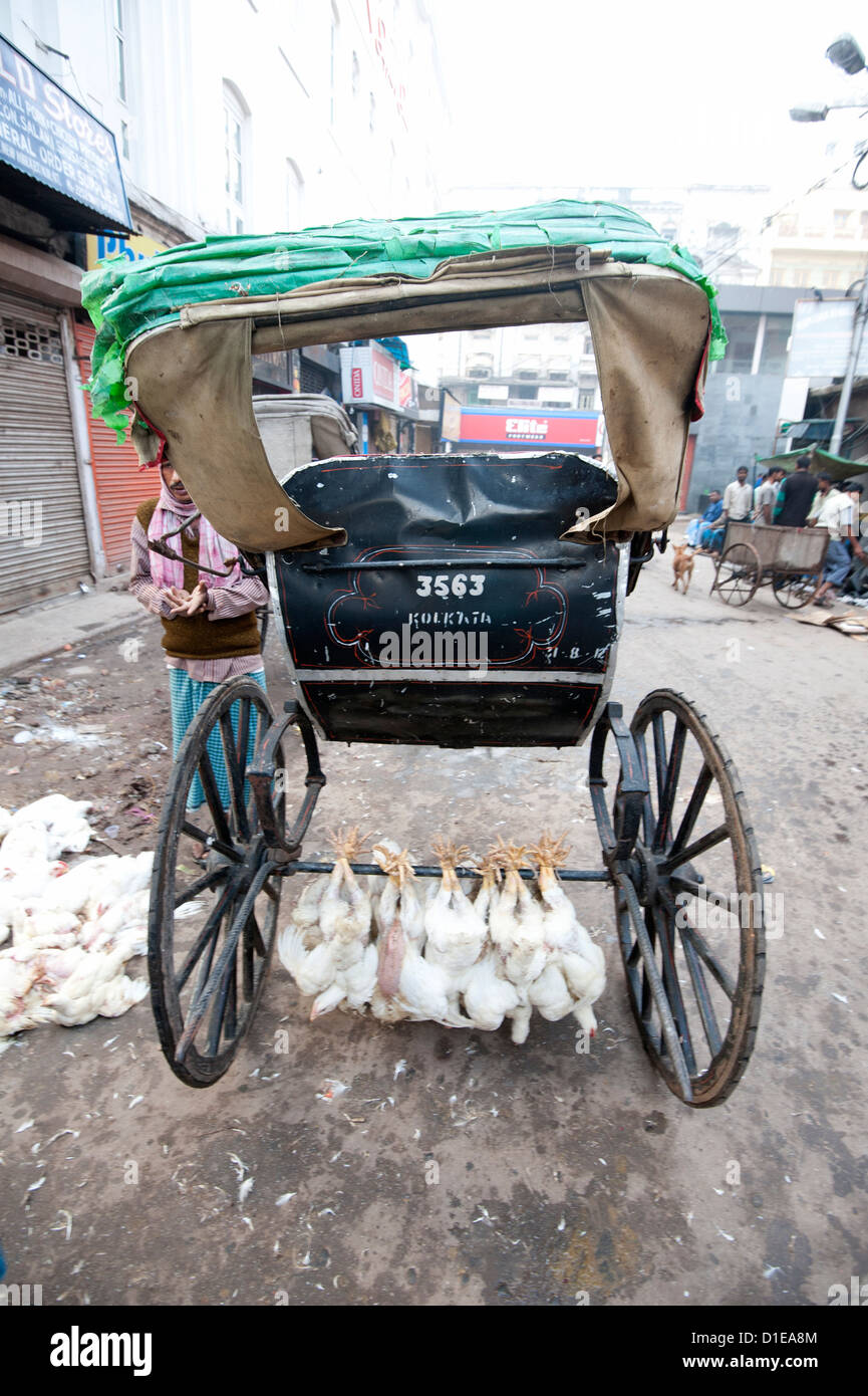 Chickens hung by their legs to axle underneath running rickshaw in New ...