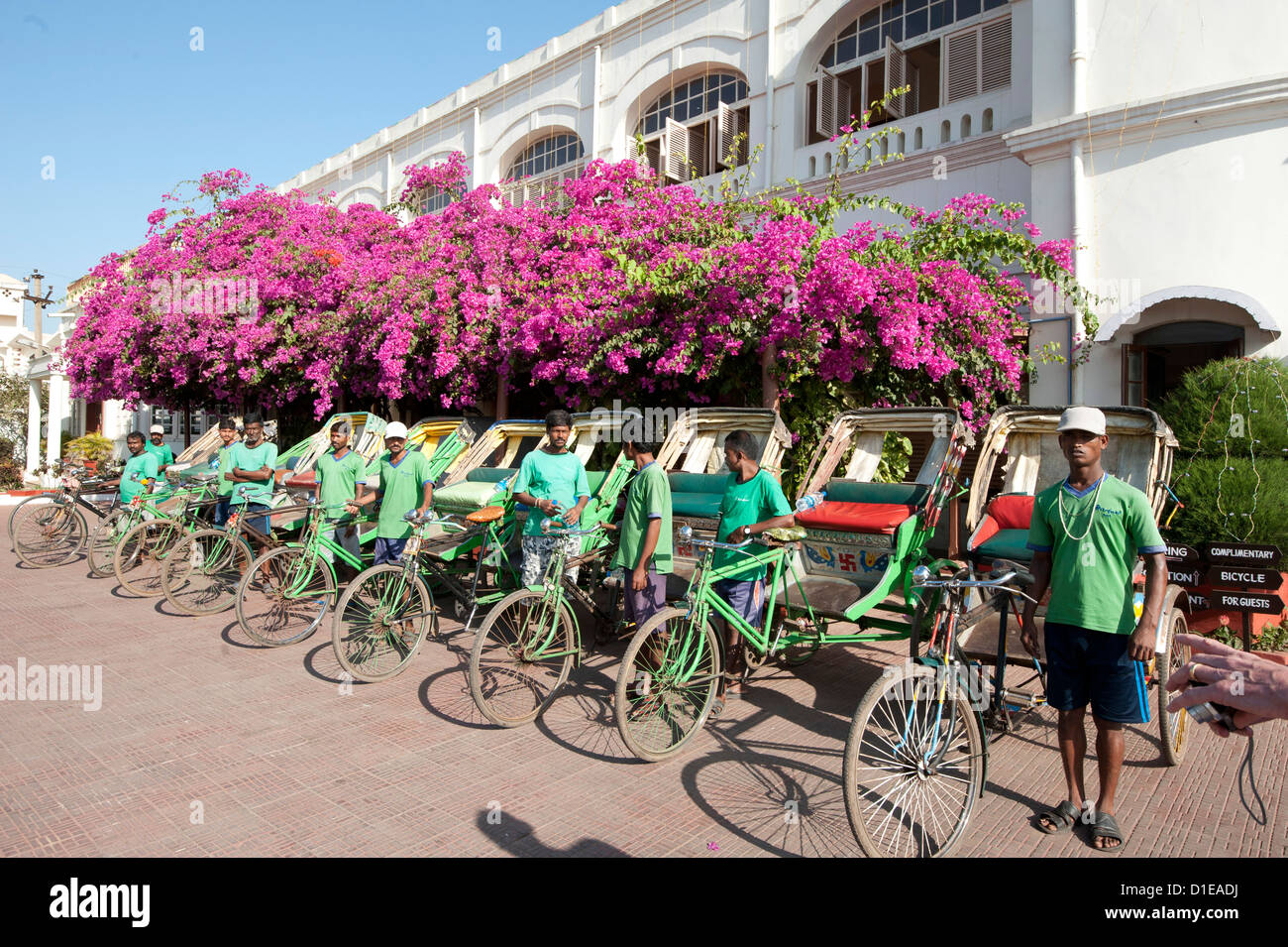 Green riders, cycle rickshaw wallahs encouraging environmentally ...