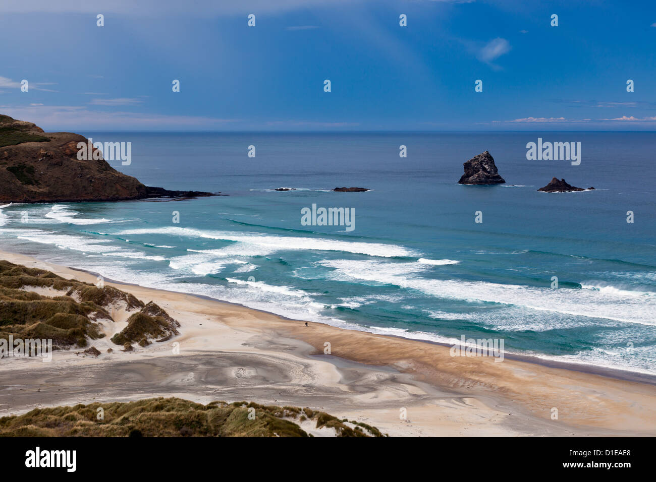 Sandfly bay hi-res stock photography and images - Alamy