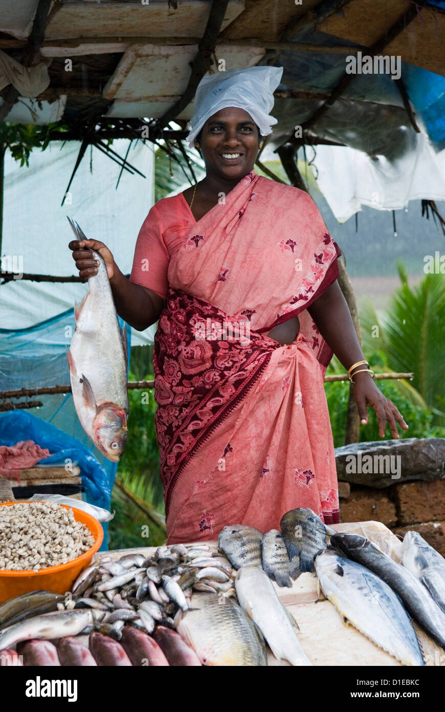 Roadside fish seller, Kerala, India, Asia Stock Photo - Alamy