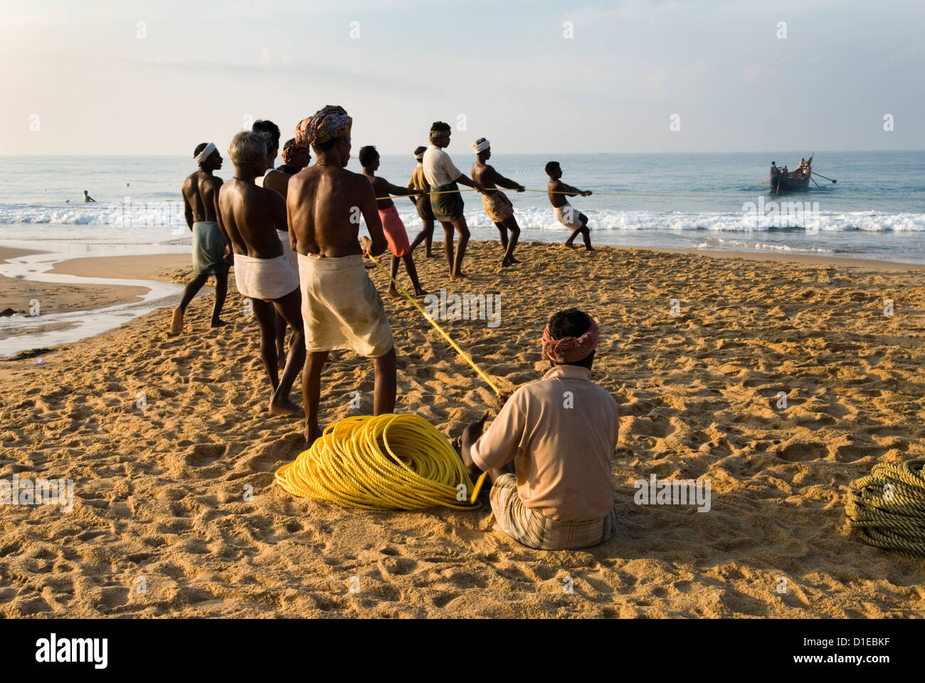 Fishermen hauling in nets at sunrise, Chowara Beach, near Kovalam ...