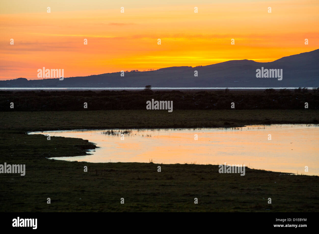 Frozen salt marsh hi-res stock photography and images - Alamy