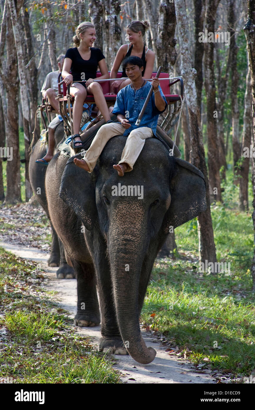 Elephant Riding / Treking , Phuket , Thailand Stock Photo - Alamy