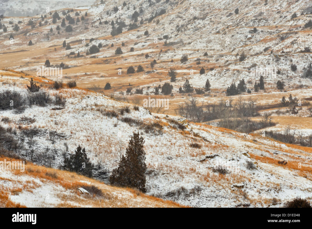Blizzard [prairies winter storm] hi-res stock photography and images ...