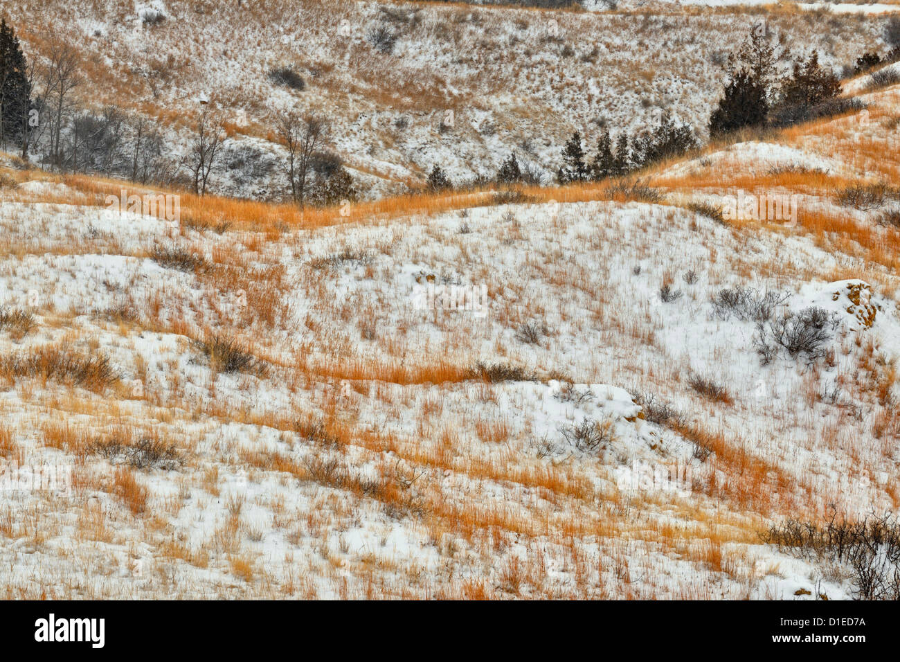 Blizzard [prairies winter storm] hi-res stock photography and images ...