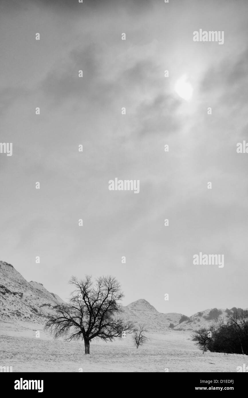 View arid landscape great Black and White Stock Photos & Images - Alamy