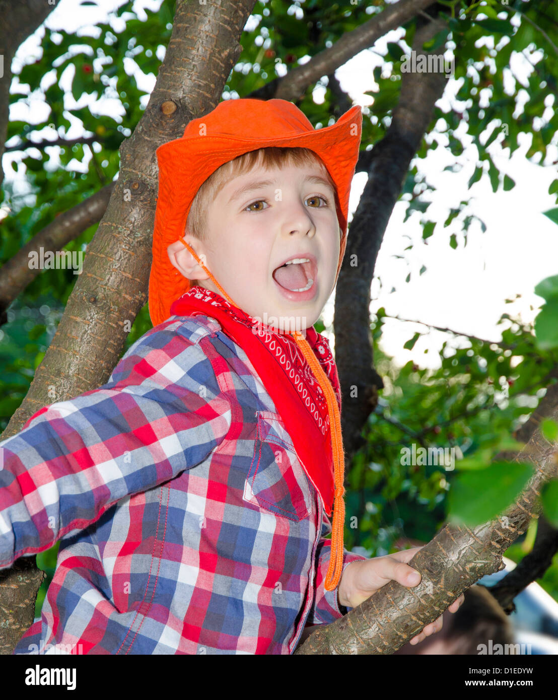 Boy yelling hi-res stock photography and images - Alamy