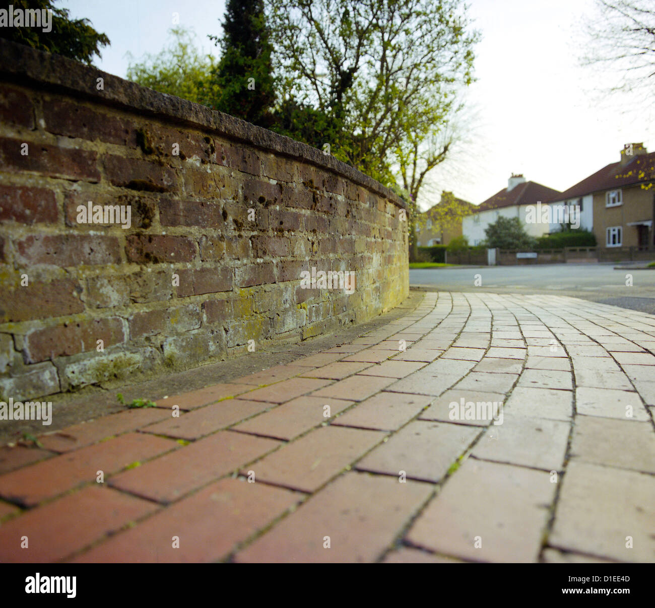 Suburban Neighborhood Street Corner