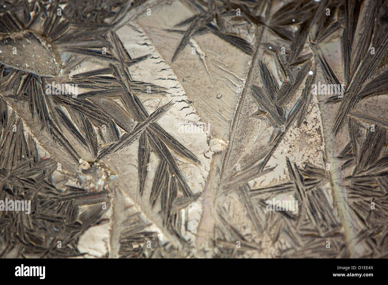 Frost patterns in soil on the Lancashire Fylde coast near Southport, UK ...