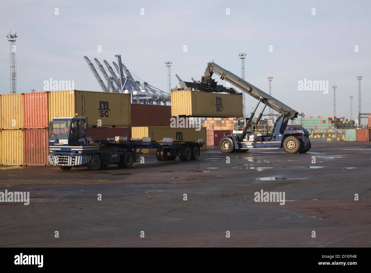 Forklift loading transporter with container Port of Felixstowe Suffolk ...
