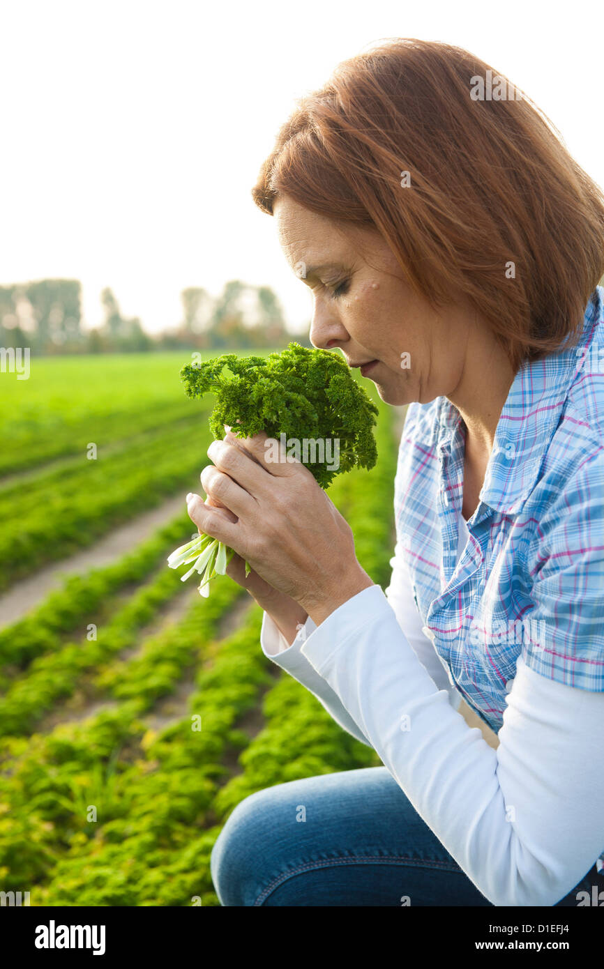 Woman harvesting parsley Stock Photo - Alamy
