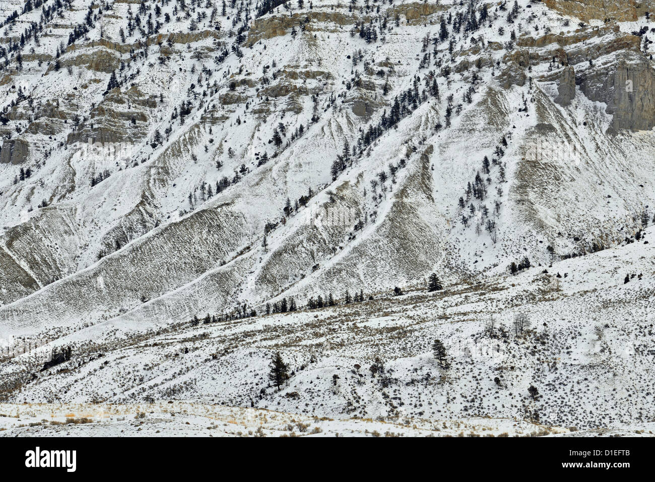 Eroded slopes of Mount Everts, with late-winter snow, Yellowstone ...