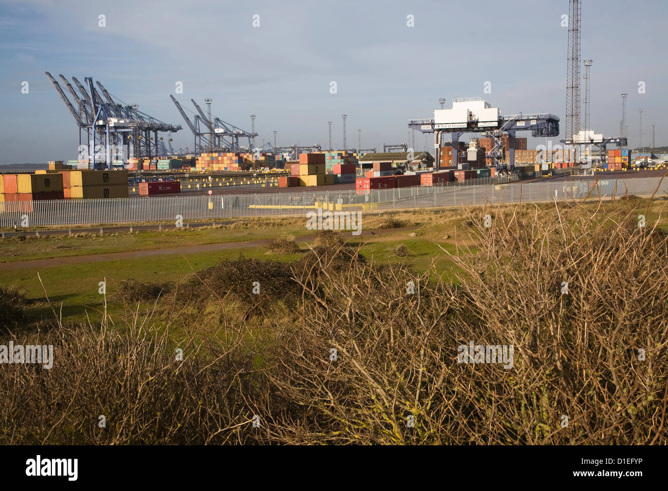 Cranes and stacked containers on quayside Port of Felixstowe Suffolk ...