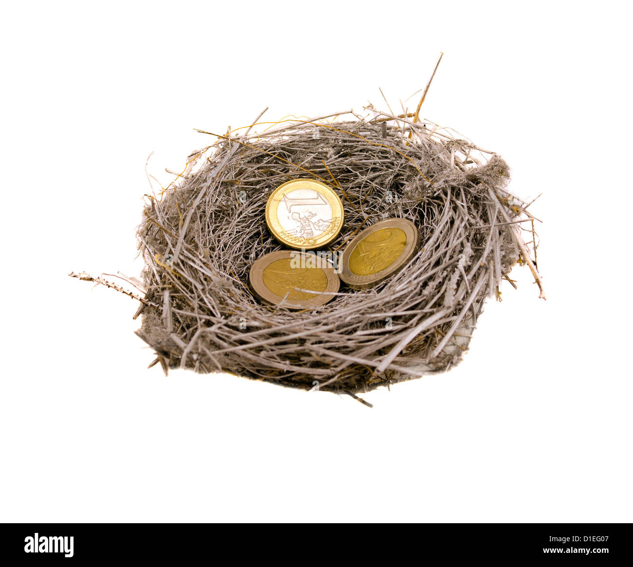small silver bird nest and euro coins money isolated on white ...